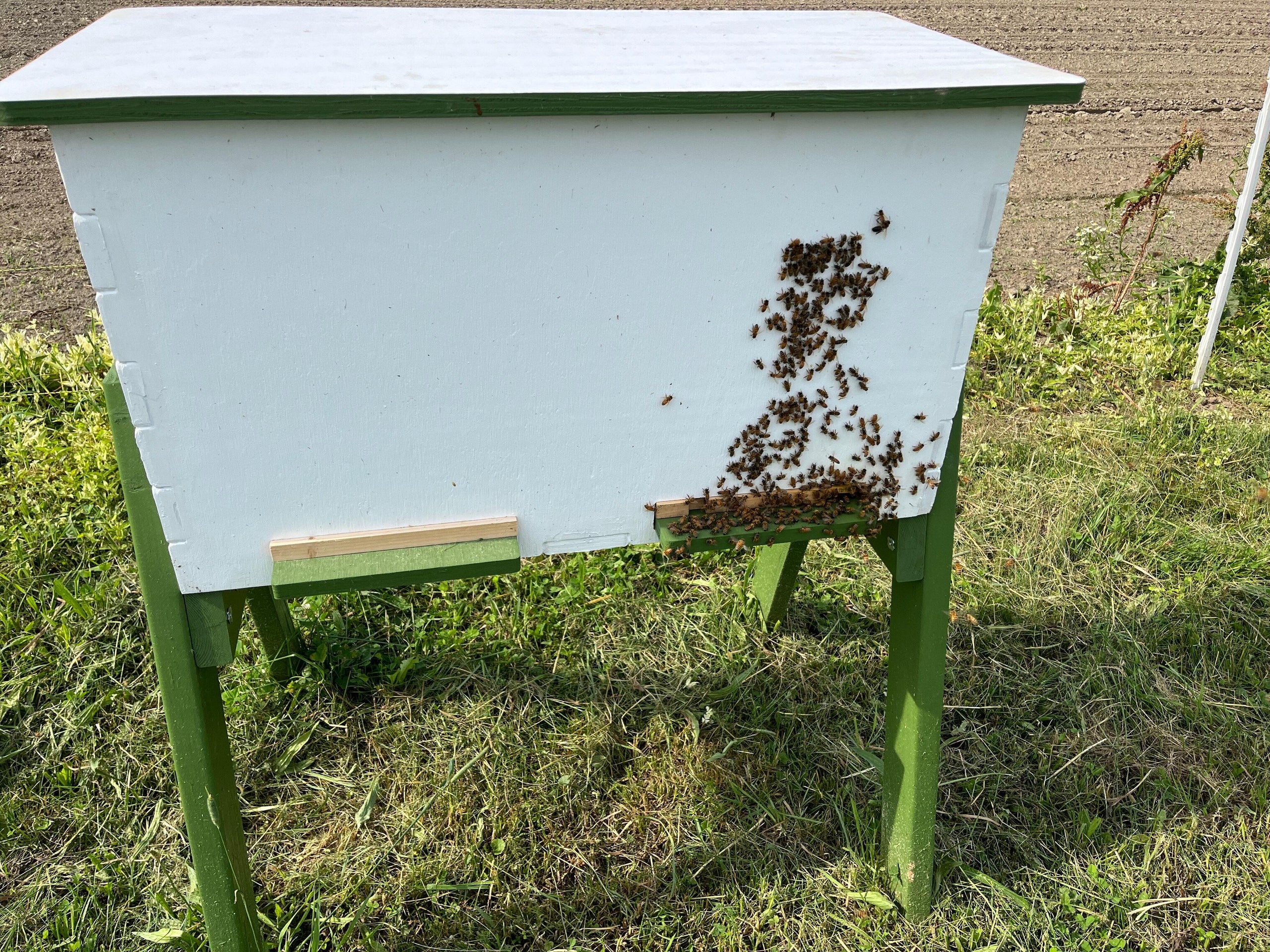 Layens Beehive | Green River Bee Company